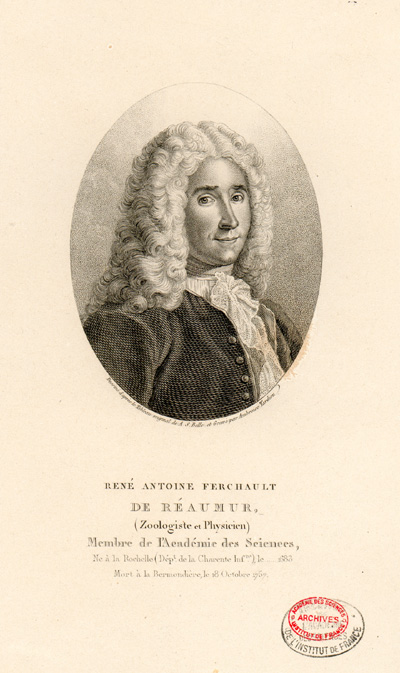 René Antoine Ferchault de Réaumur - Académie des sciences